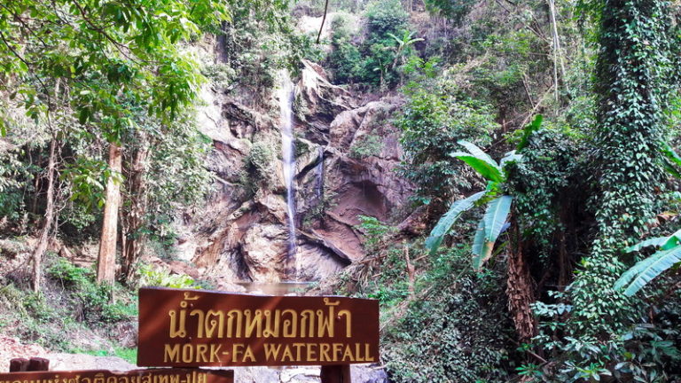 Mok Fah Waterfall: Discover Chiang Mai’s Best Nature Escape