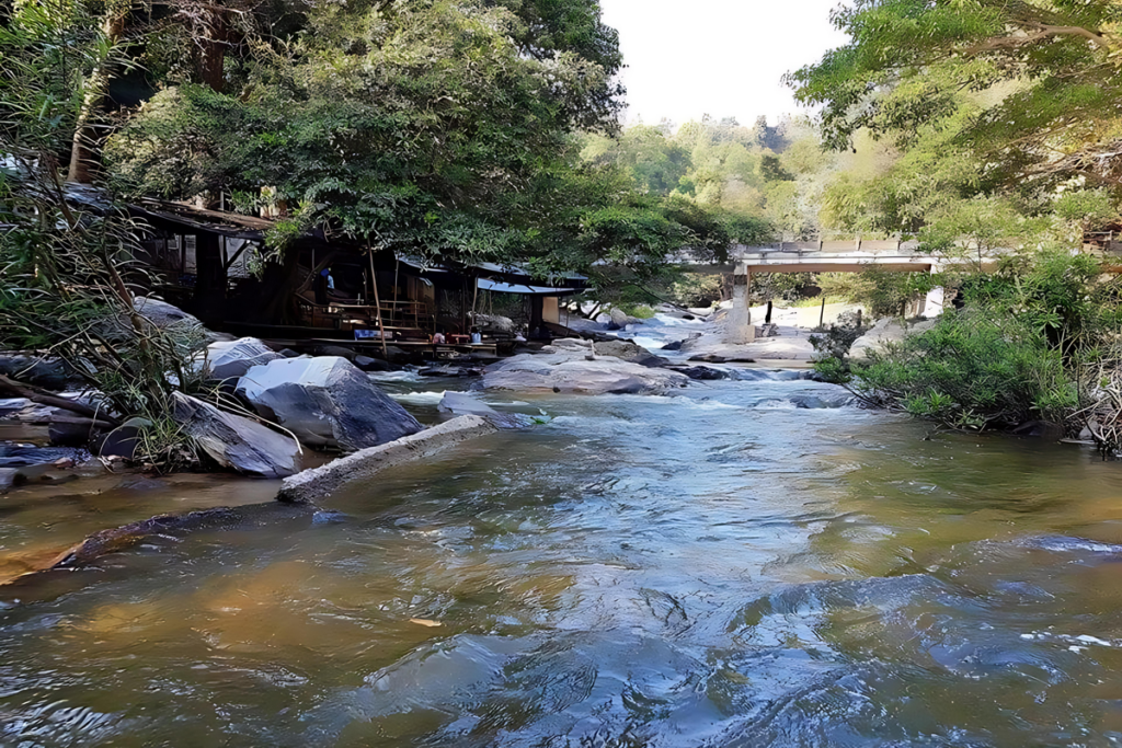 Doi Inthanon National Park is a place well worth a visit when you are here.