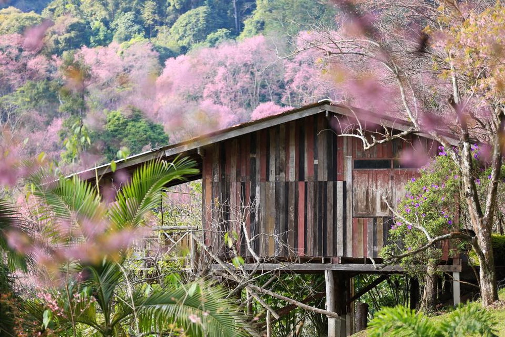 Khun Chang Khian one of well-known natural attraction in Chiang Mai