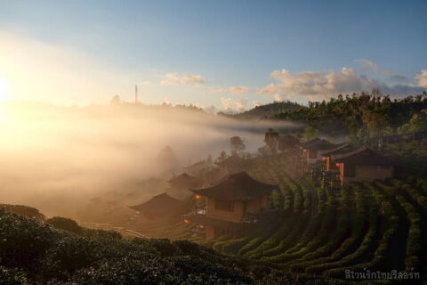 Ban Rak Thai 7 Reasons to Visit This Yunnanese Village