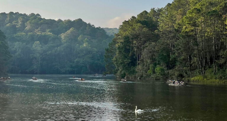 Pang Ung: Discover the Magic of Morning Mist
